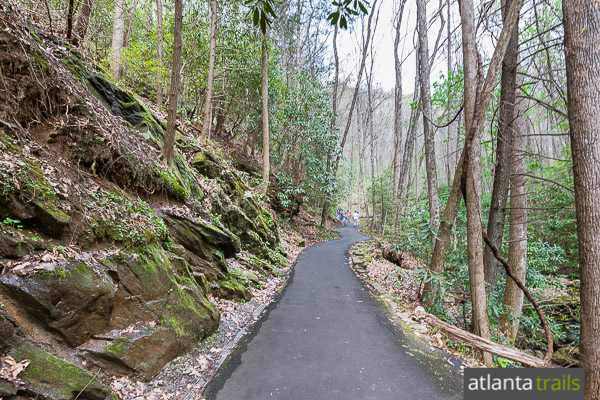 Anna Ruby Falls Trail - Atlanta Trails