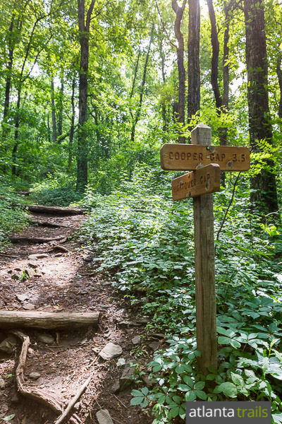 Appalachian Trail: Hightower Gap to Cooper Gap