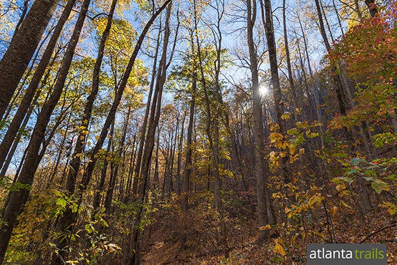 Appalachian Trail: Dicks Creek Gap to Powell Mountain
