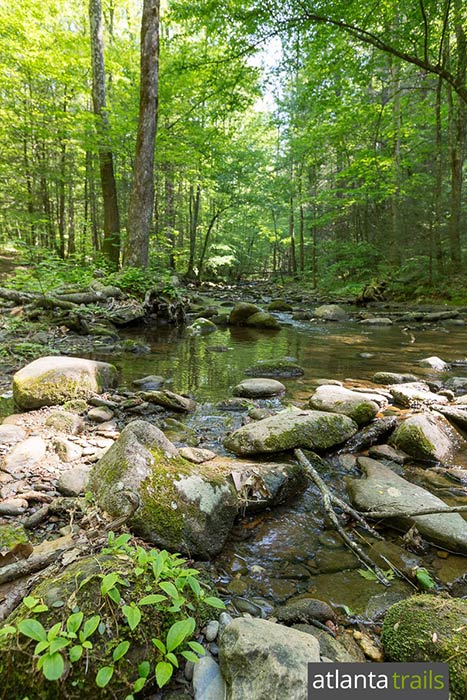 Jacks River Falls: Beech Bottom Trail & Jacks River Trail