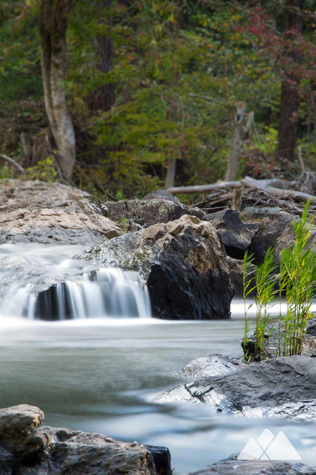 Atlanta waterfalls: our top 10 favorite hikes near Atlanta