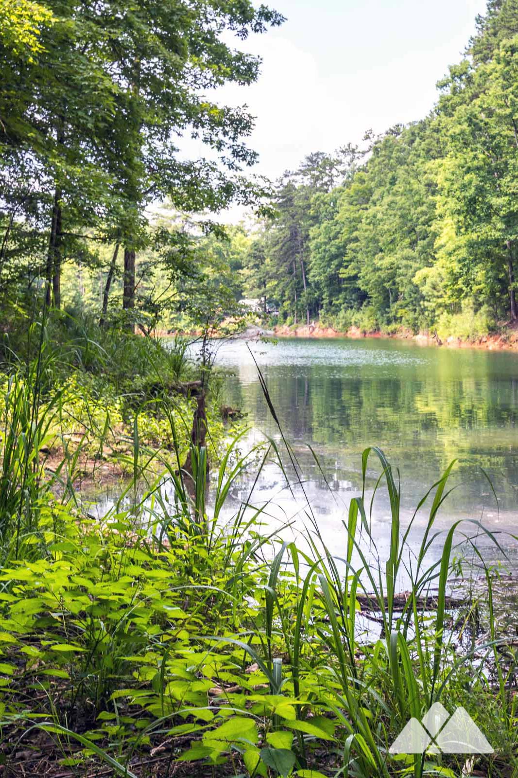 Carters Lake Oak Ridge Nature Trail - Atlanta Trails
