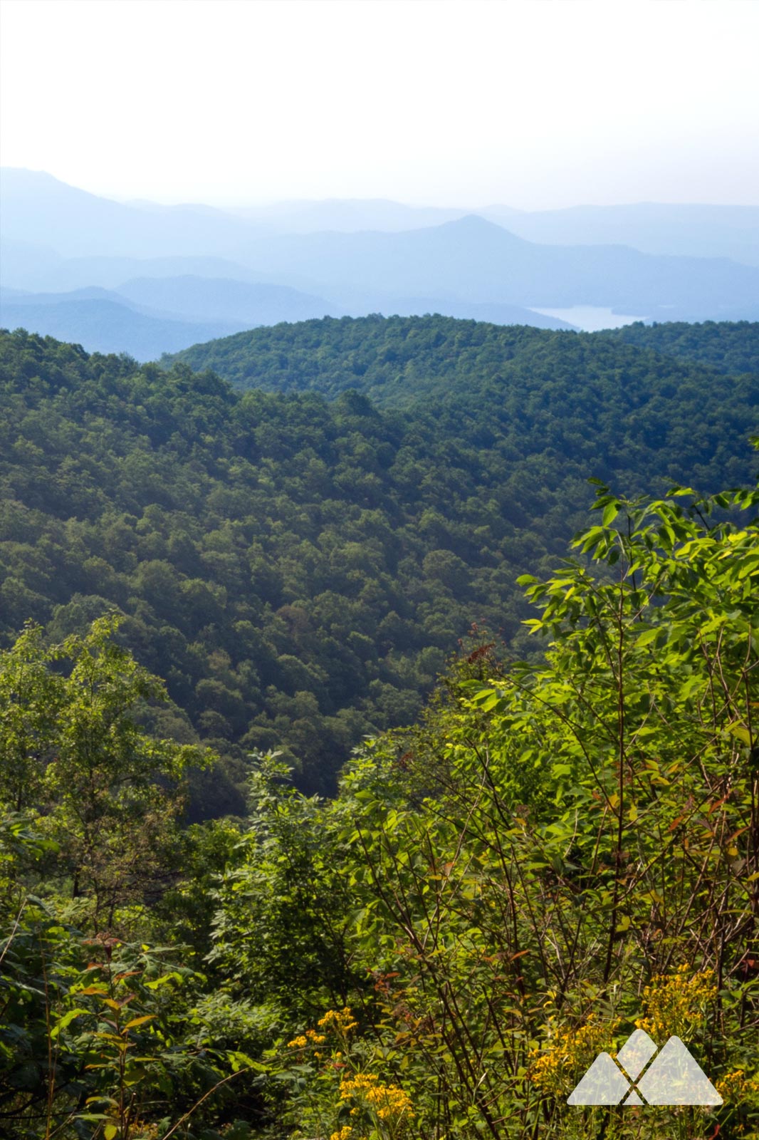 Appalachian Trail: Dicks Creek Gap to Powell Mountain