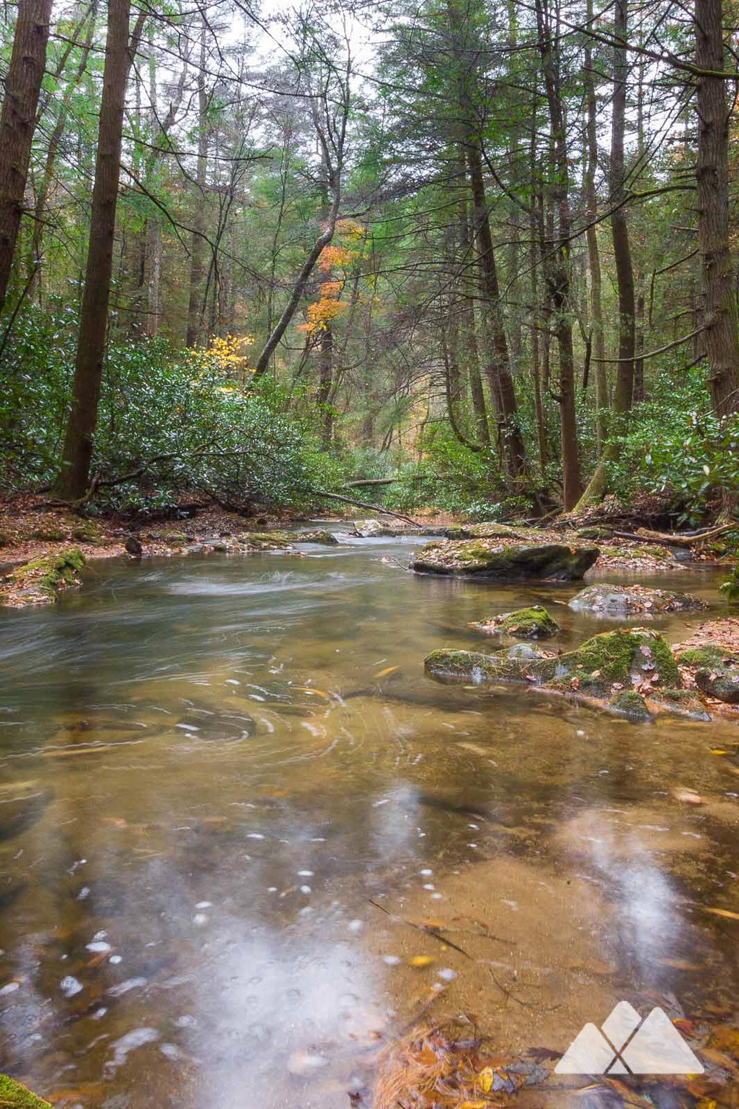 Appalachian Trail: Three Forks to Springer Mountain