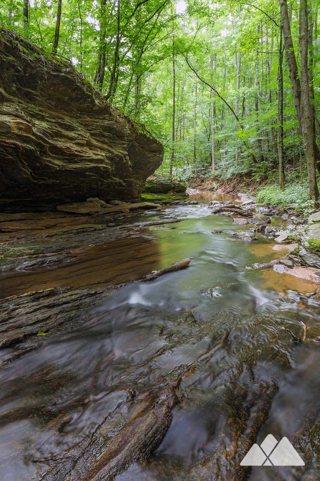 Johnson Ferry Trail at the Chattahoochee River