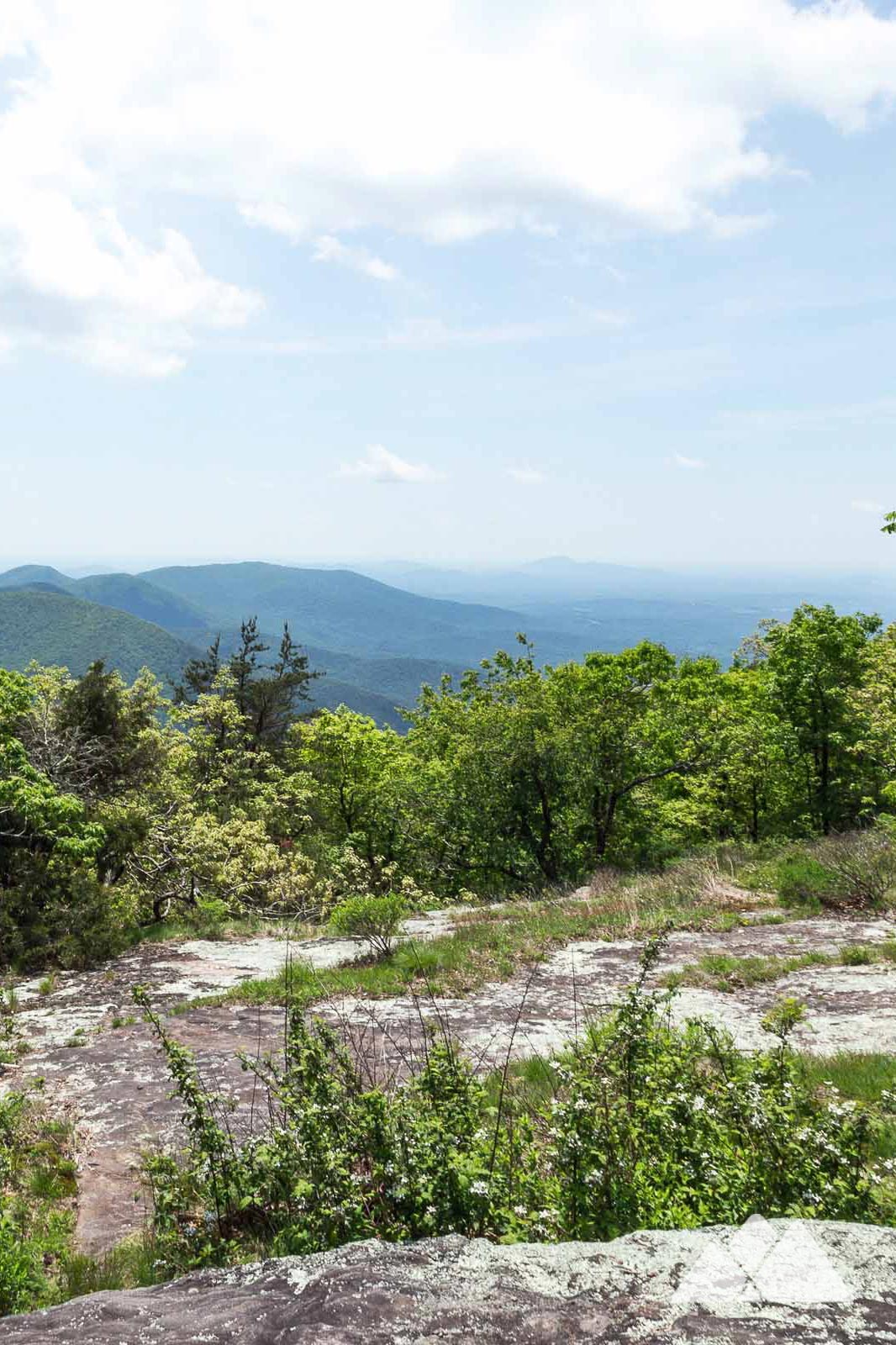 Tesnatee Gap to Cowrock Mountain: Appalachian Trail