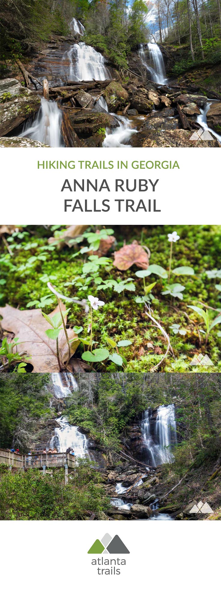 Anna Ruby Falls - Atlanta Trails