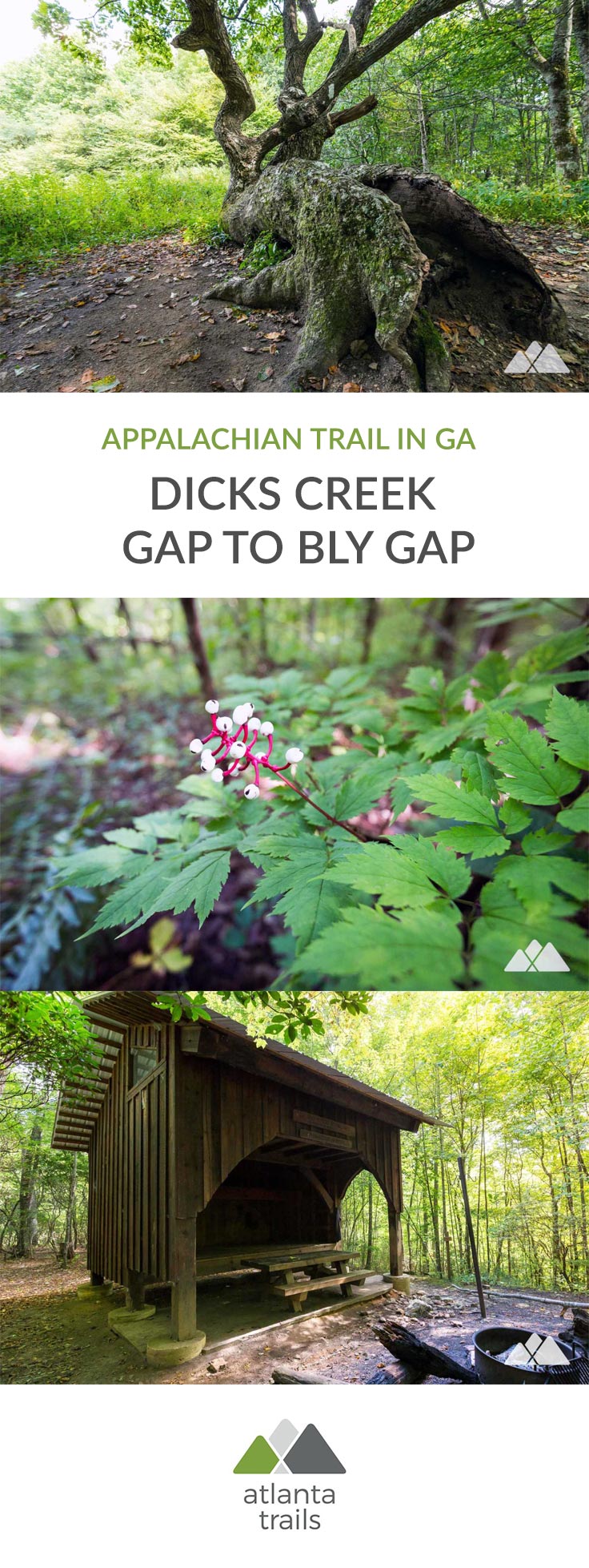Appalachian Trail - Dicks Creek Gap to Bly Gap
