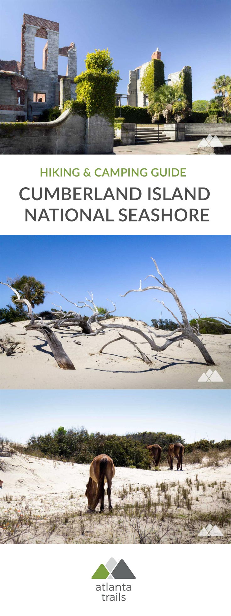 Cumberland Island camping, hiking, and backpacking guide