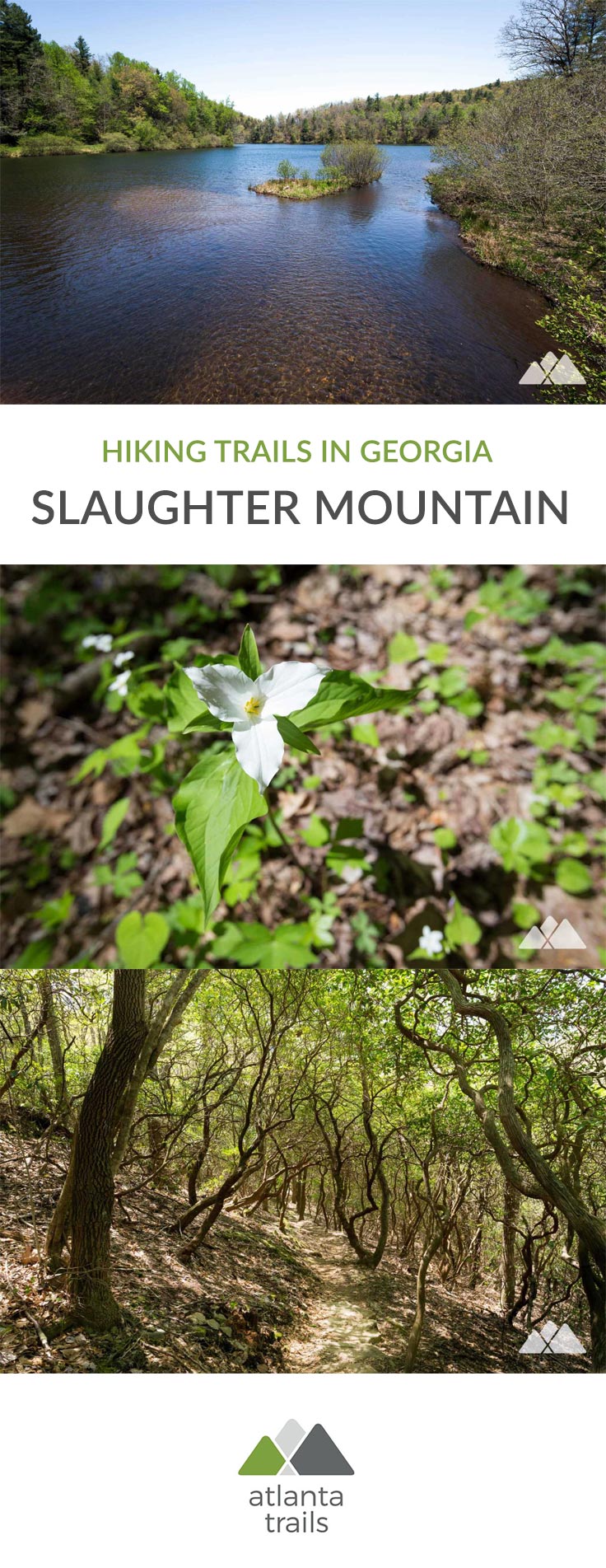 Appalachian Trail, Jarrard Trail, and Slaughter Creek Trail Loop