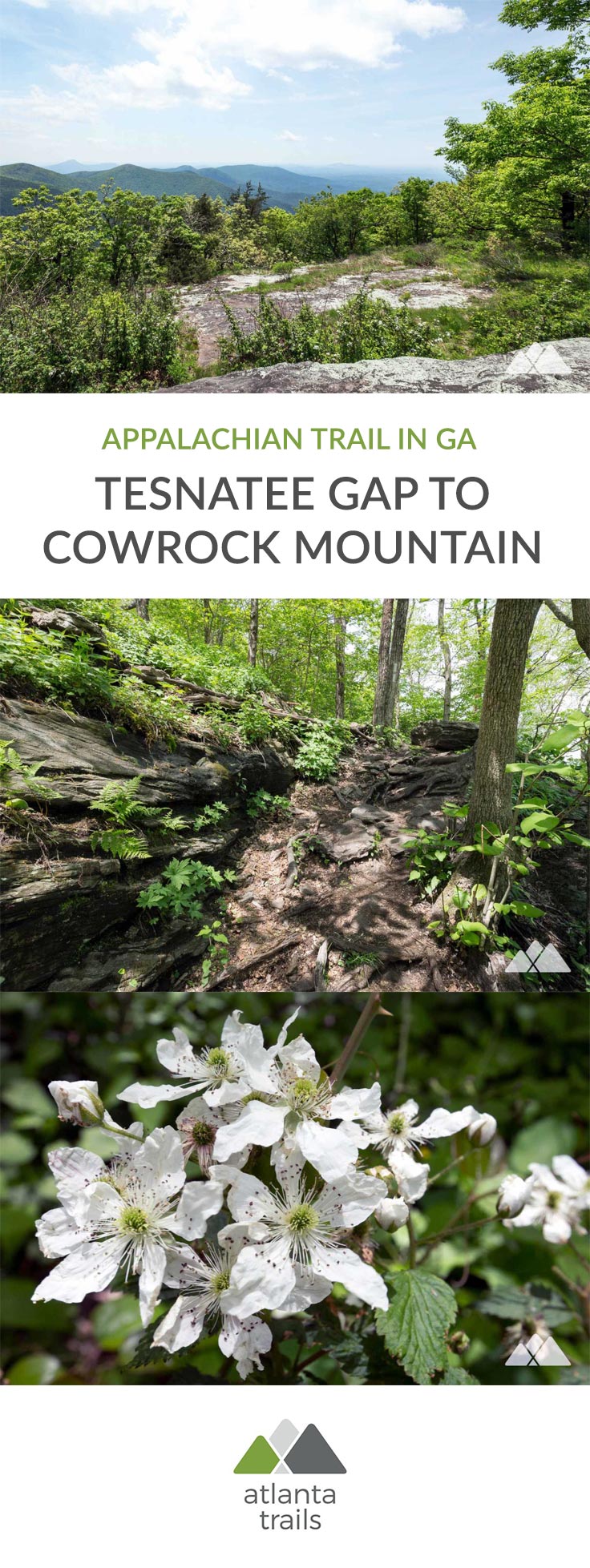 Tesnatee Gap to Cowrock Mountain: Appalachian Trail