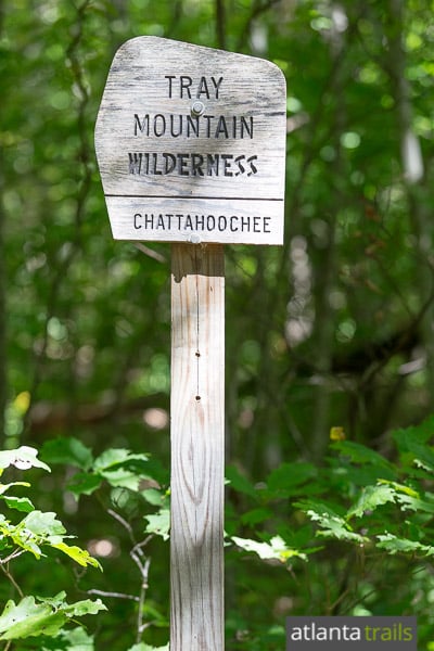 Tray Mountain: Hiking the Appalachian Trail