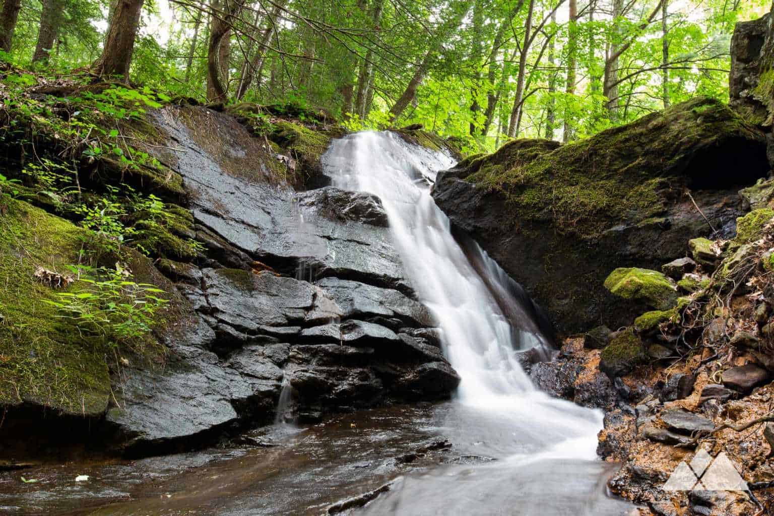 Best Spring Hikes in Georgia: Our Top 10 Favorite Trails