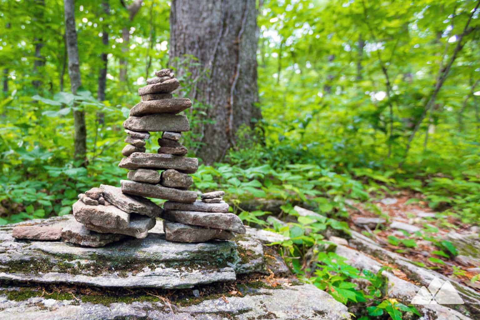 Appalachian Trail in Georgia - Atlanta Trails