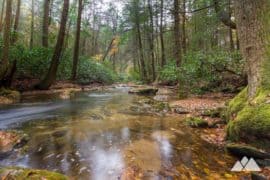 Springer Mountain: Hiking & Backpacking Guide