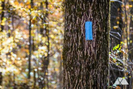 AT Approach Trail: Amicalola Falls to Springer Mountain