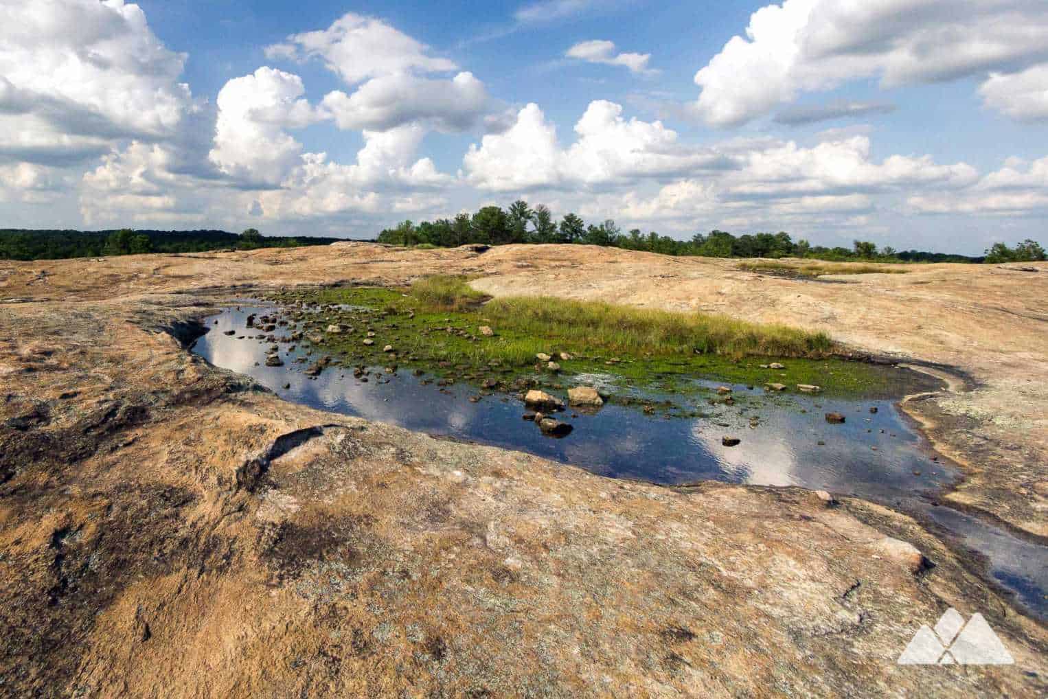 Arabia Mountain Top Trail