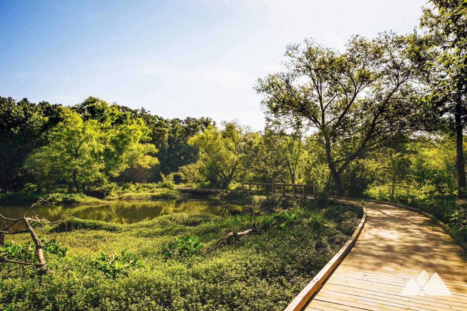 Dolls Head Trail At Constitution Lakes Park In Atlanta