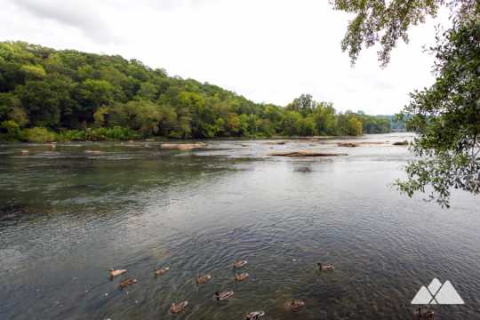 Chattahoochee River near Atlanta: our top 10 favorite hiking trails