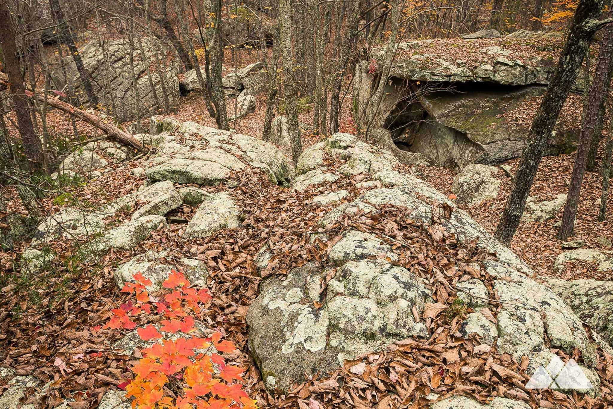 Rocktown Trail at Pigeon Mountain - Atlanta Trails