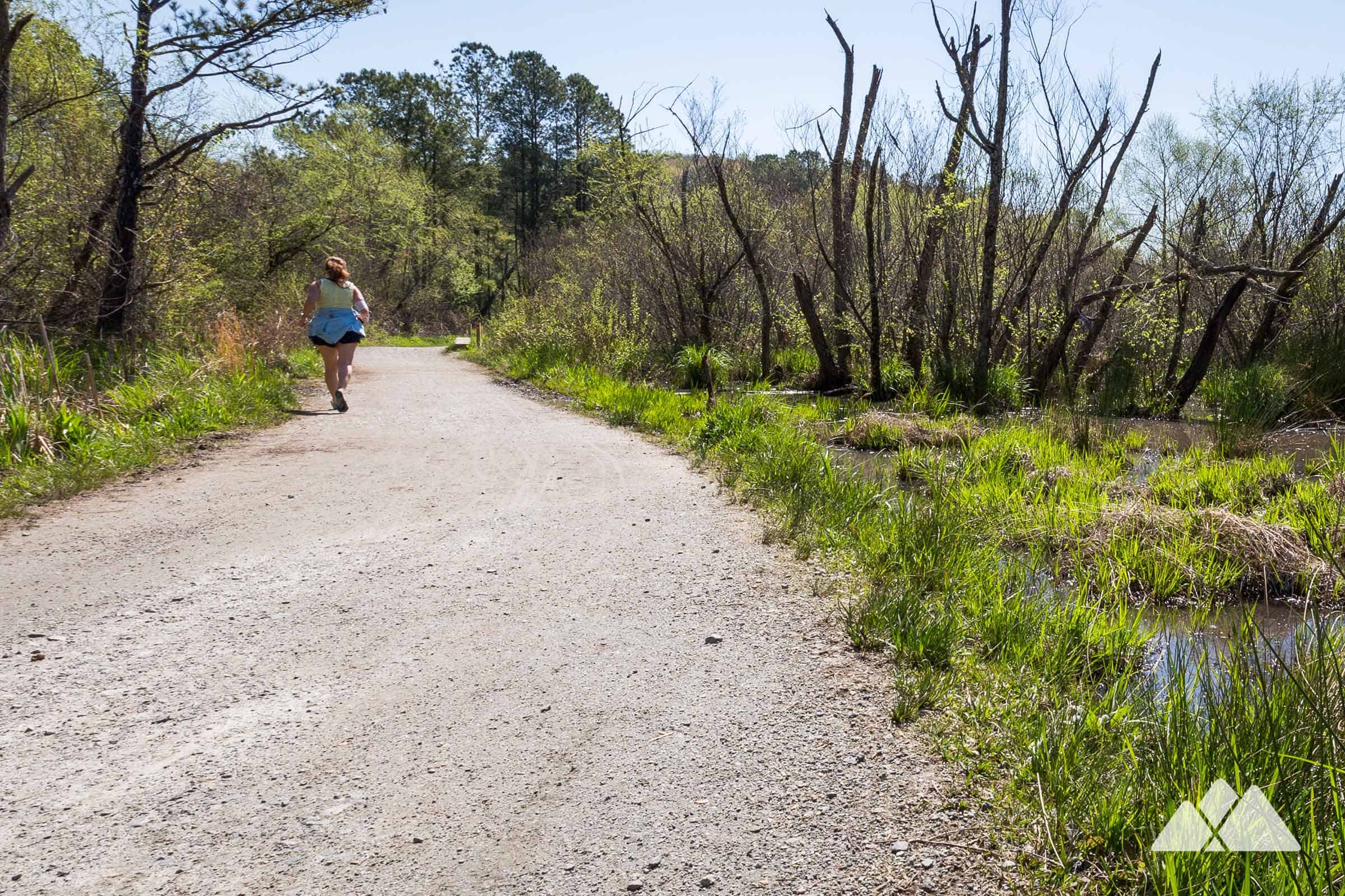 5k training: a plan for beginning trail runners - Atlanta Trails
