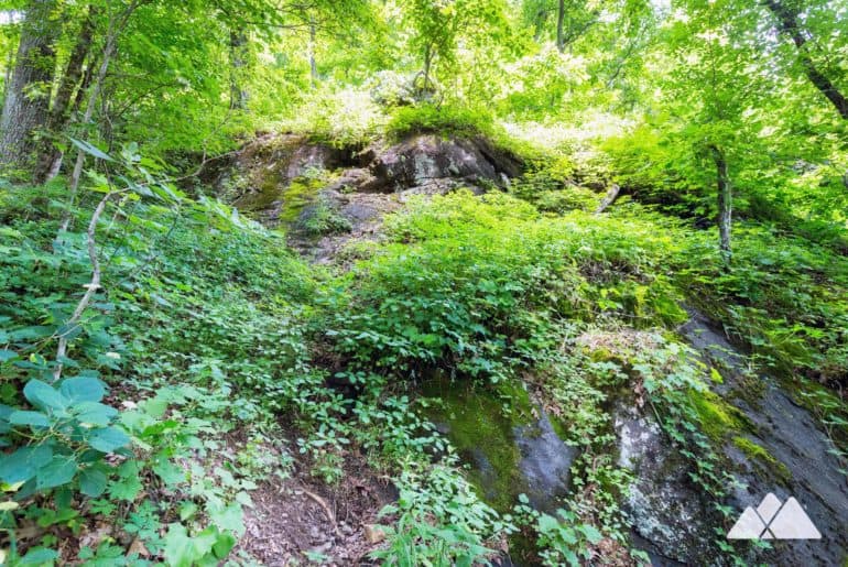 Appalachian Trail: Hightower Gap to Cooper Gap