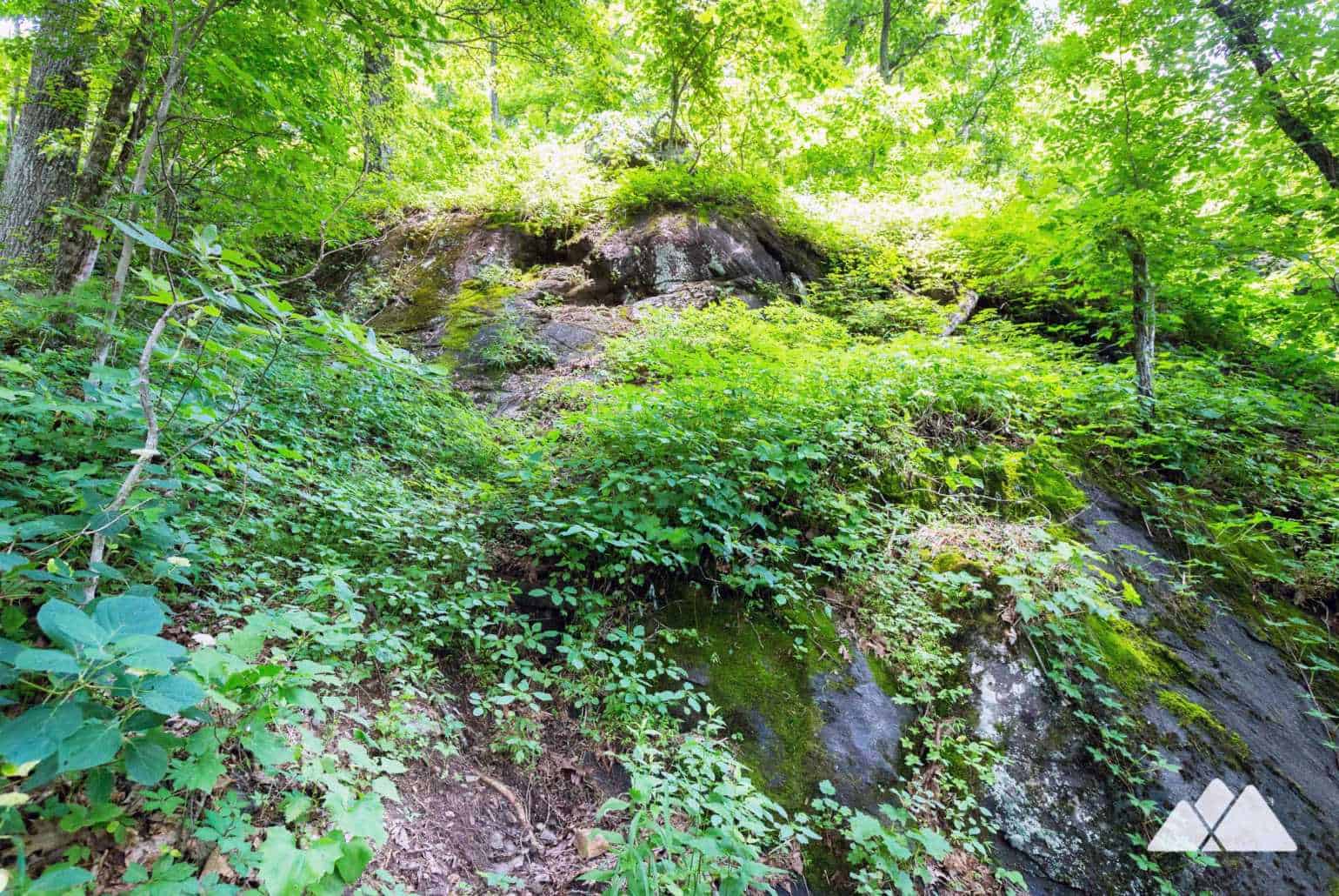 Appalachian Trail: Hightower Gap to Cooper Gap