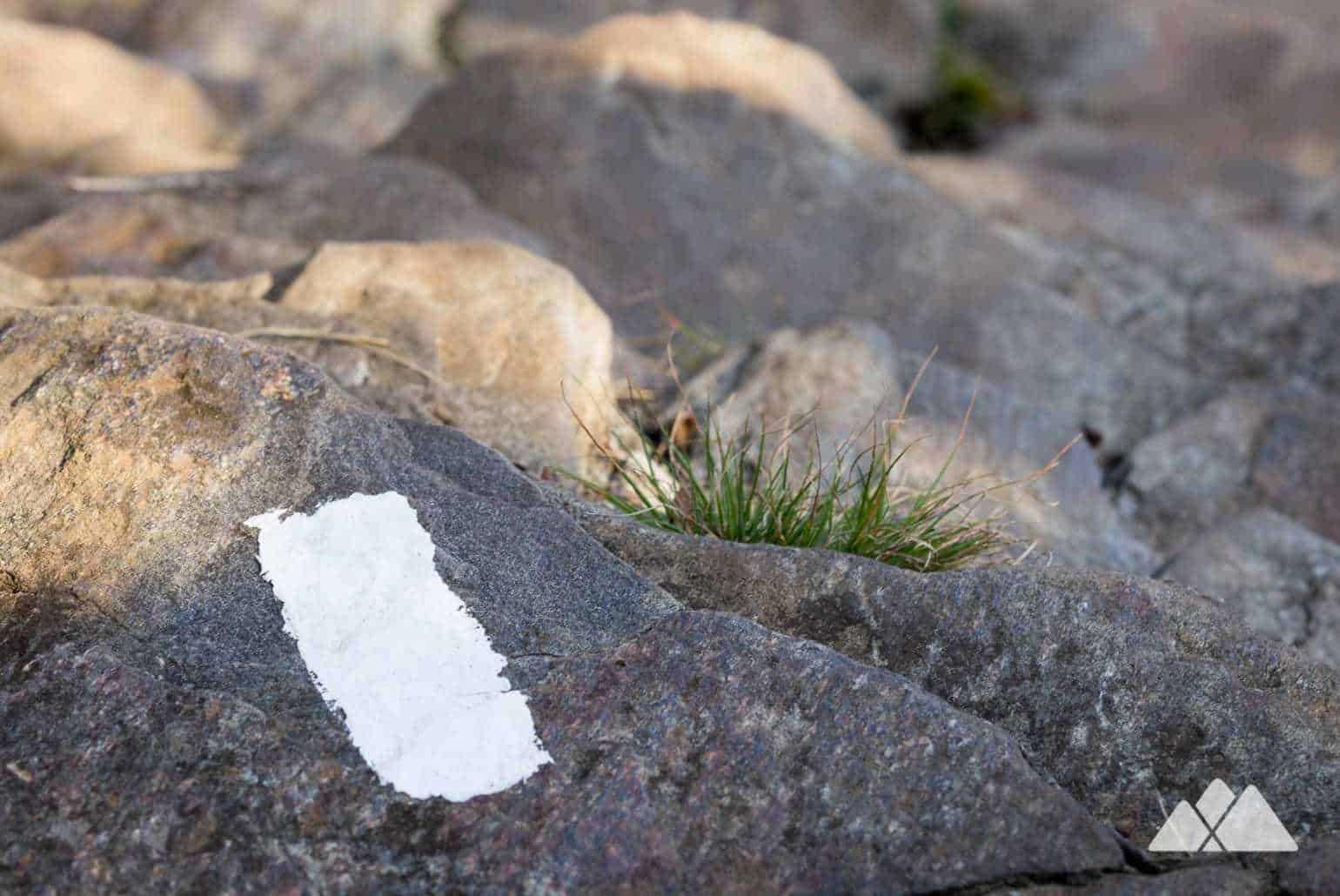 Tray Mountain: Appalachian Trail from Unicoi Gap - Atlanta Trails