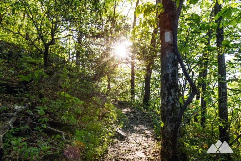 Woody Gap to Jarrard Gap on the Appalachian Trail in Georgia