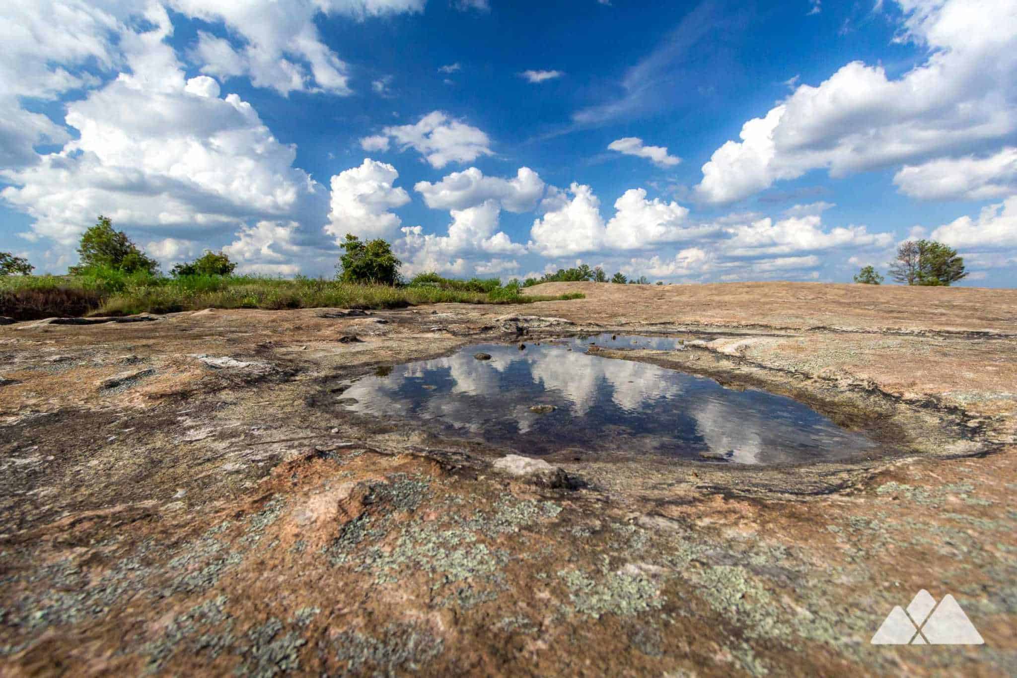 Arabia Mountain: hiking the Lake, Boardwalk & Summit Trails