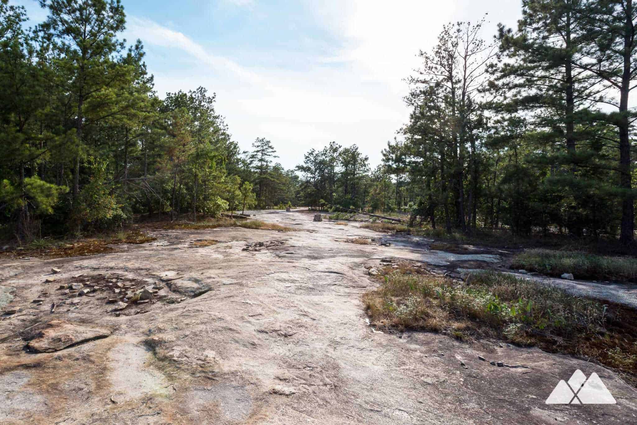 Arabia Mountain: Mountain View Trail