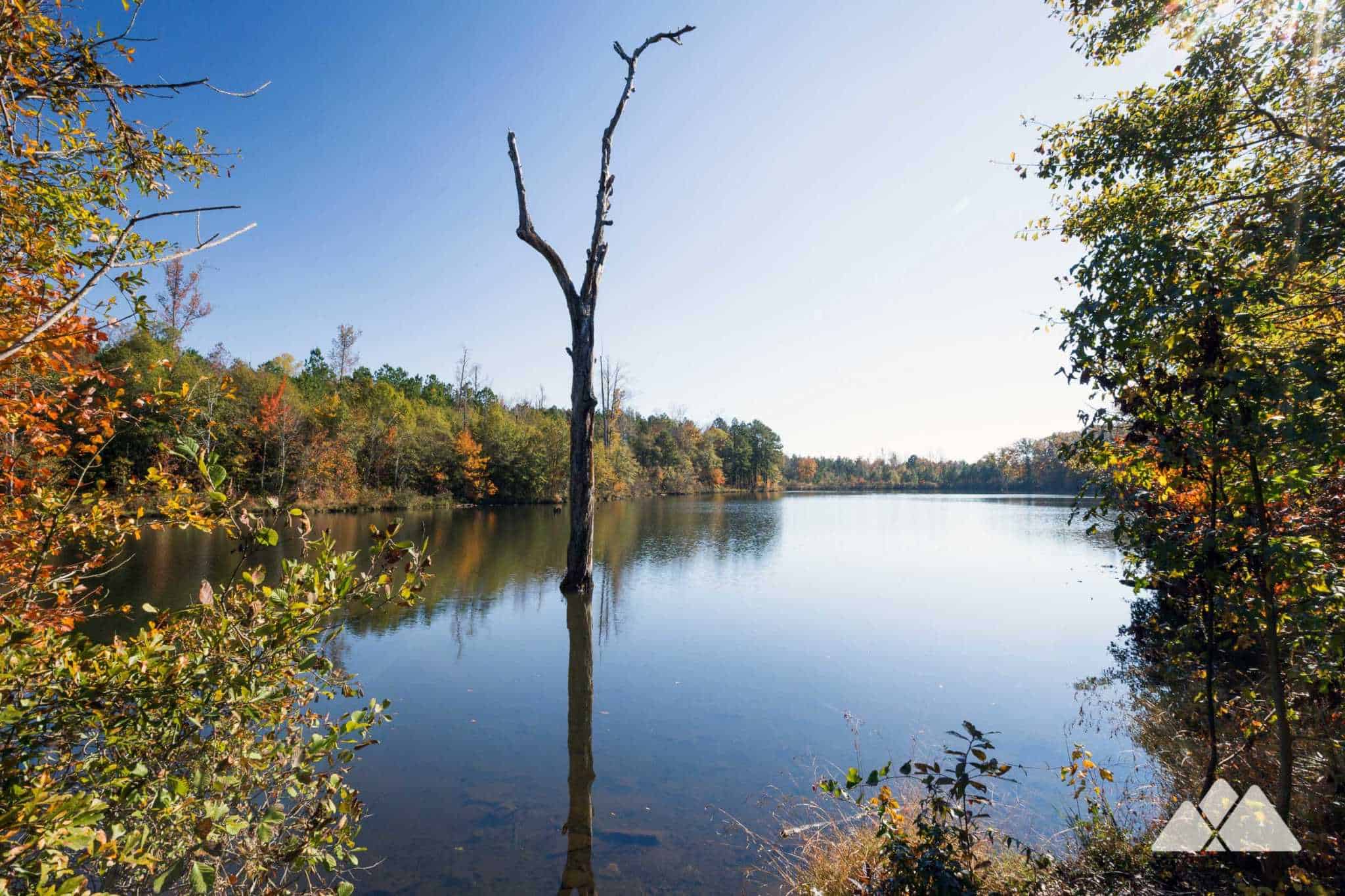 Arabia Mountain: Mountain View Trail