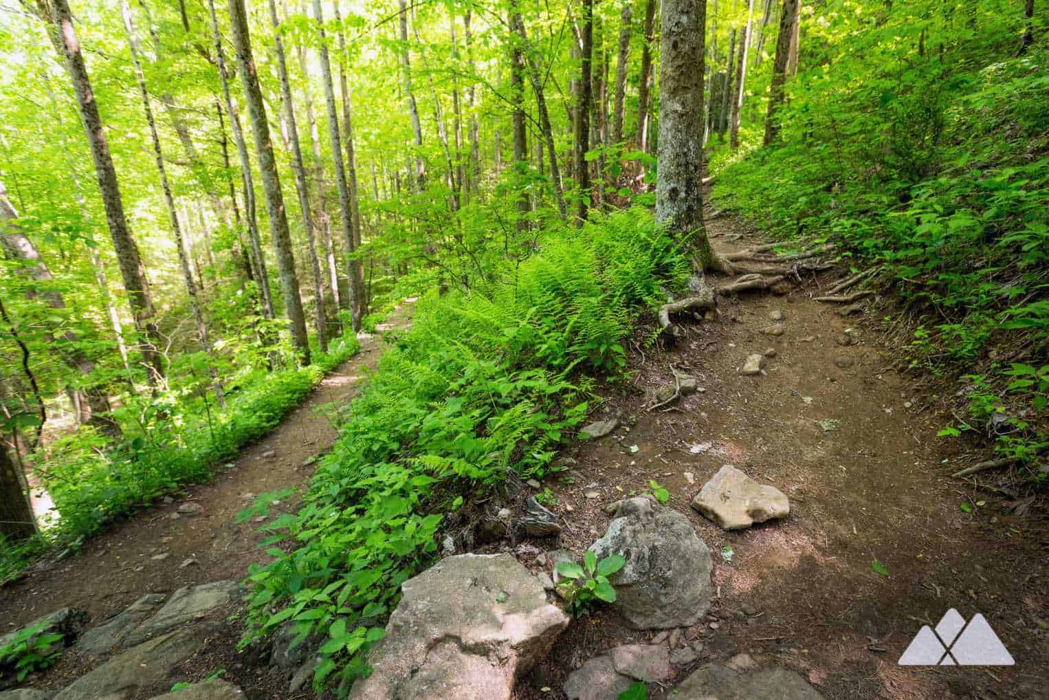 Neel Gap: Hiking the Byron Reece Trail