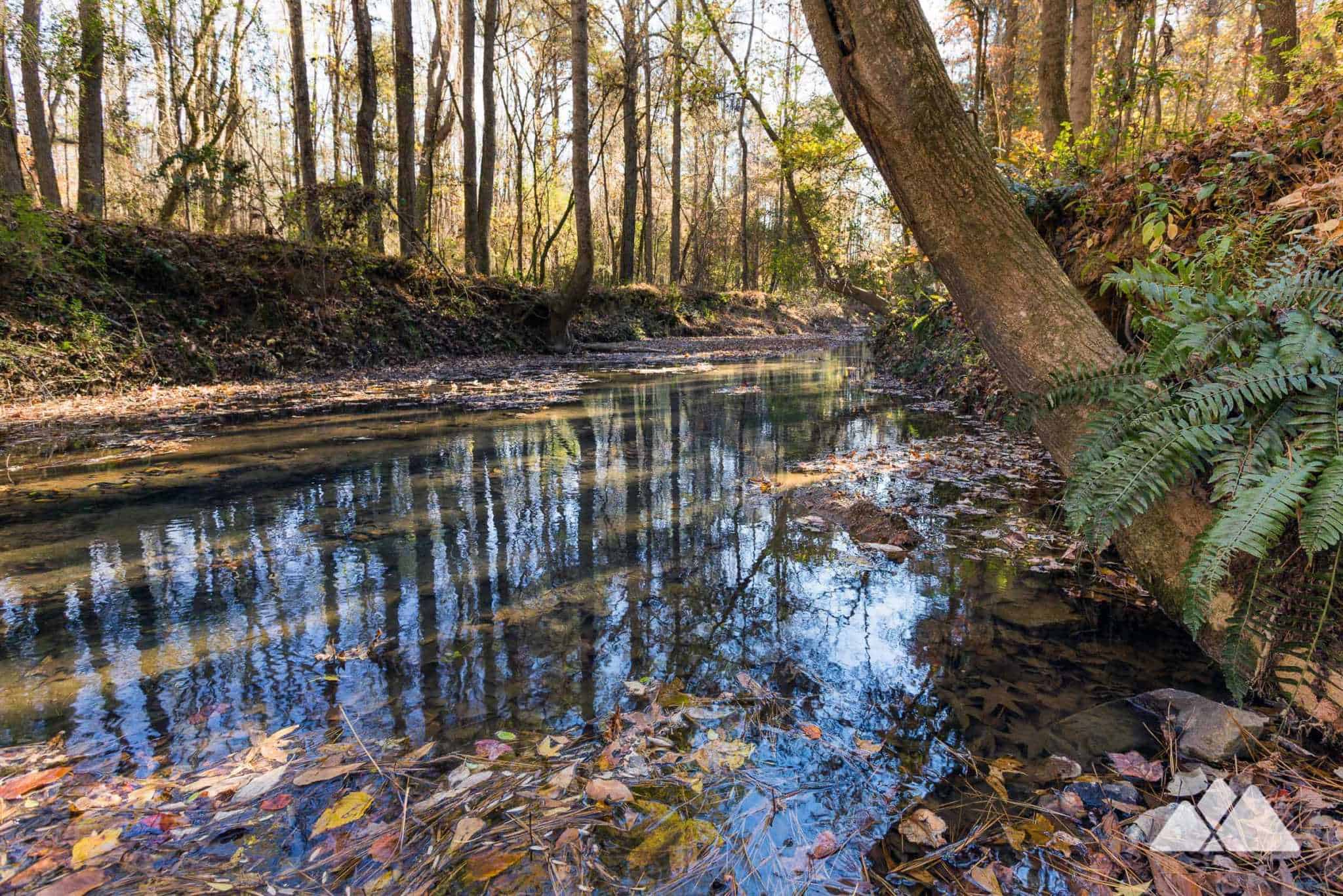 Cochran Mill Park: Hiking the Henry Mill Falls Trail