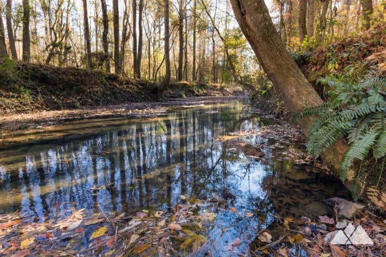Cochran Mill Park: Hiking the Henry Mill Falls Trail
