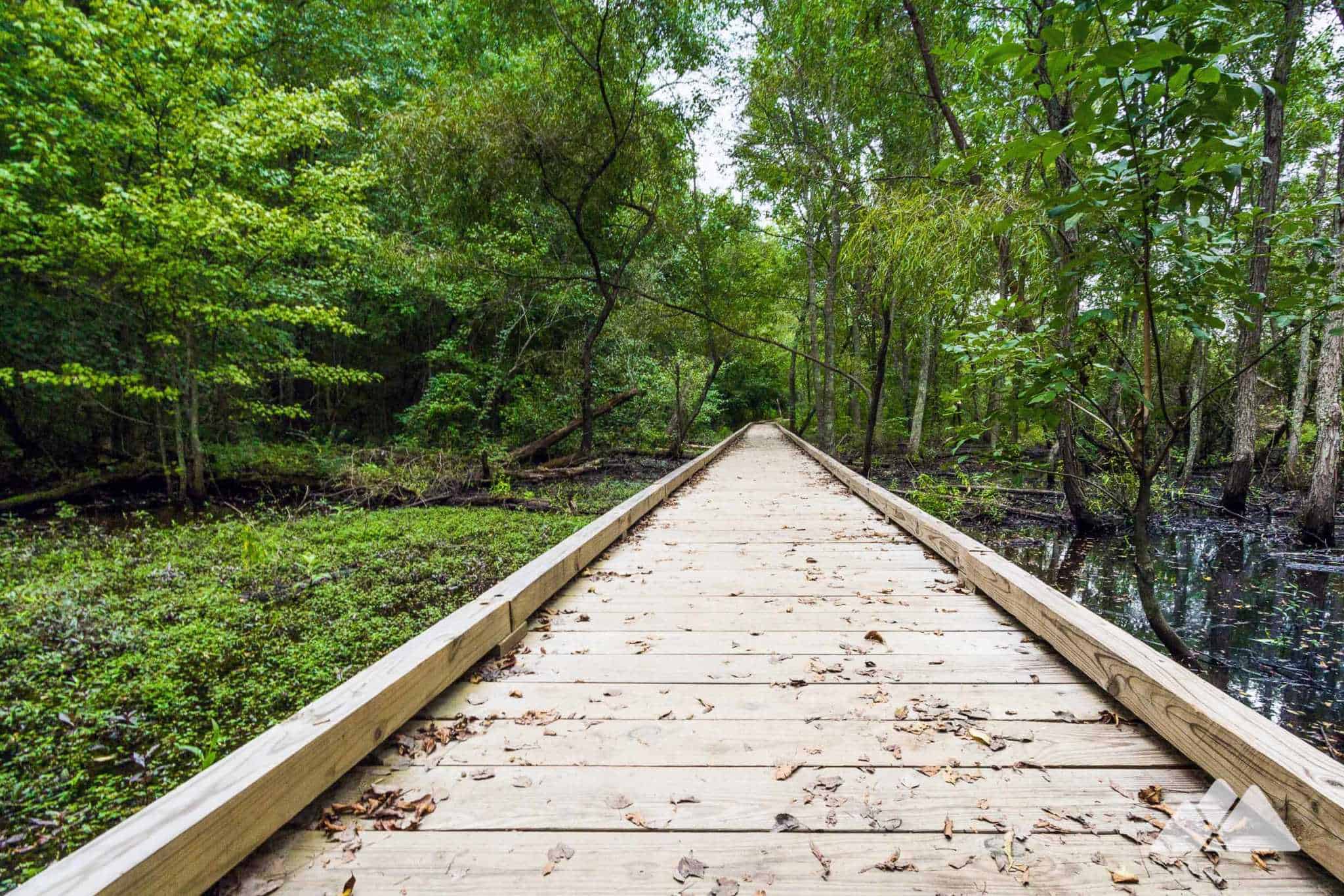 Cochran Shoals Trail at the Chattahoochee River