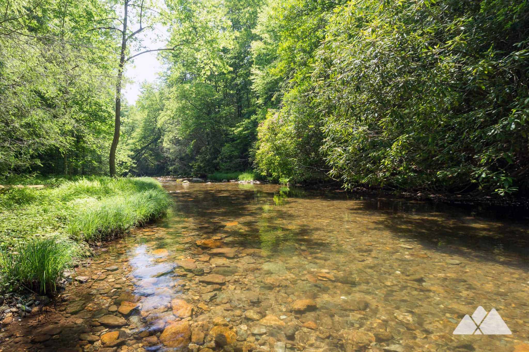 Conasauga River Trail: hiking Georgia's Cohutta Wilderness