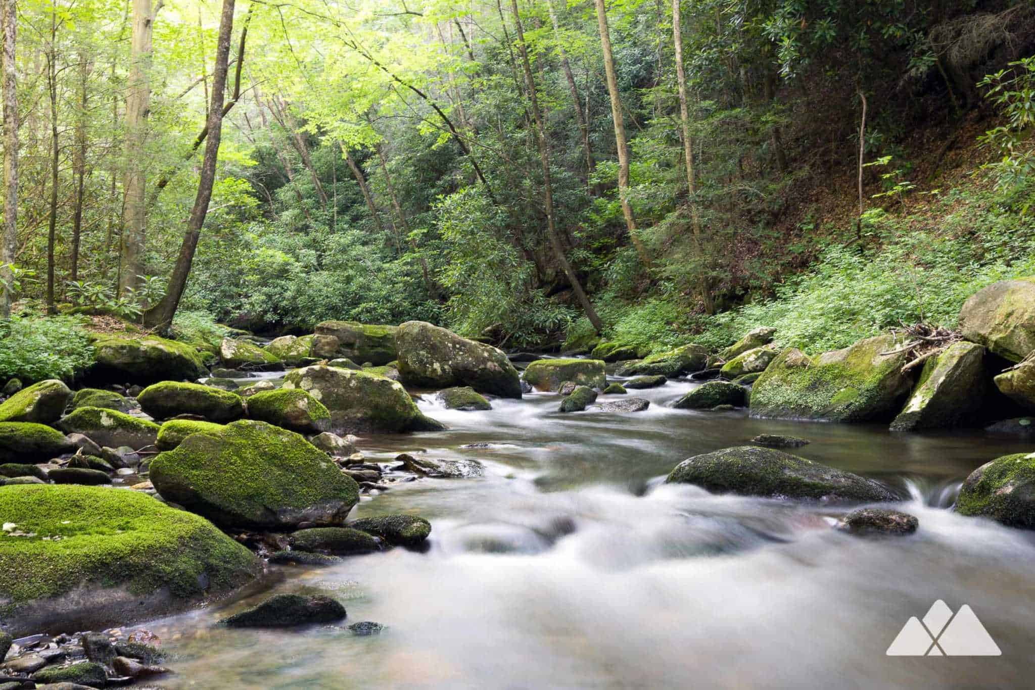 Conasauga River Trail: hiking Georgia's Cohutta Wilderness