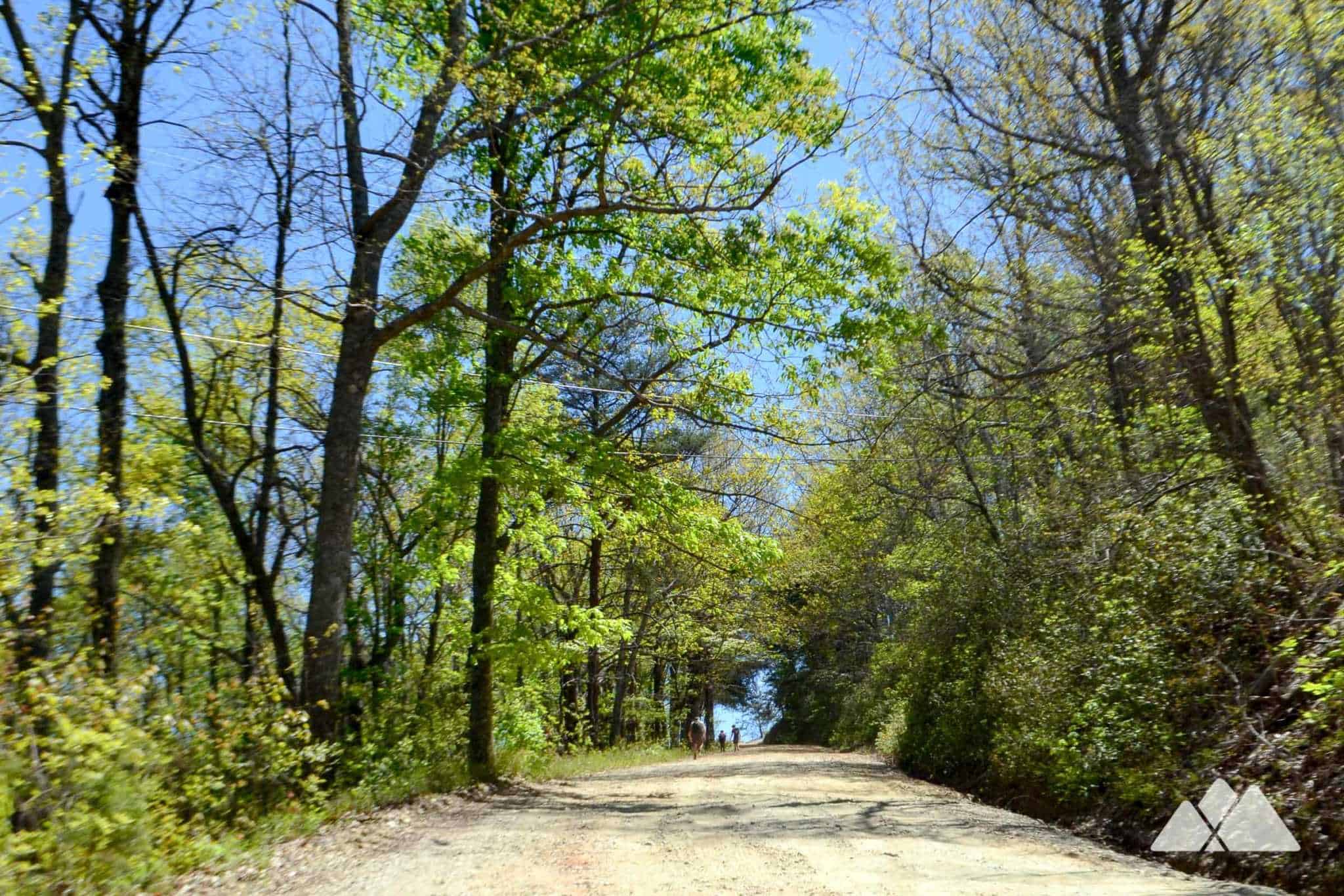 Currahee Mountain Trail