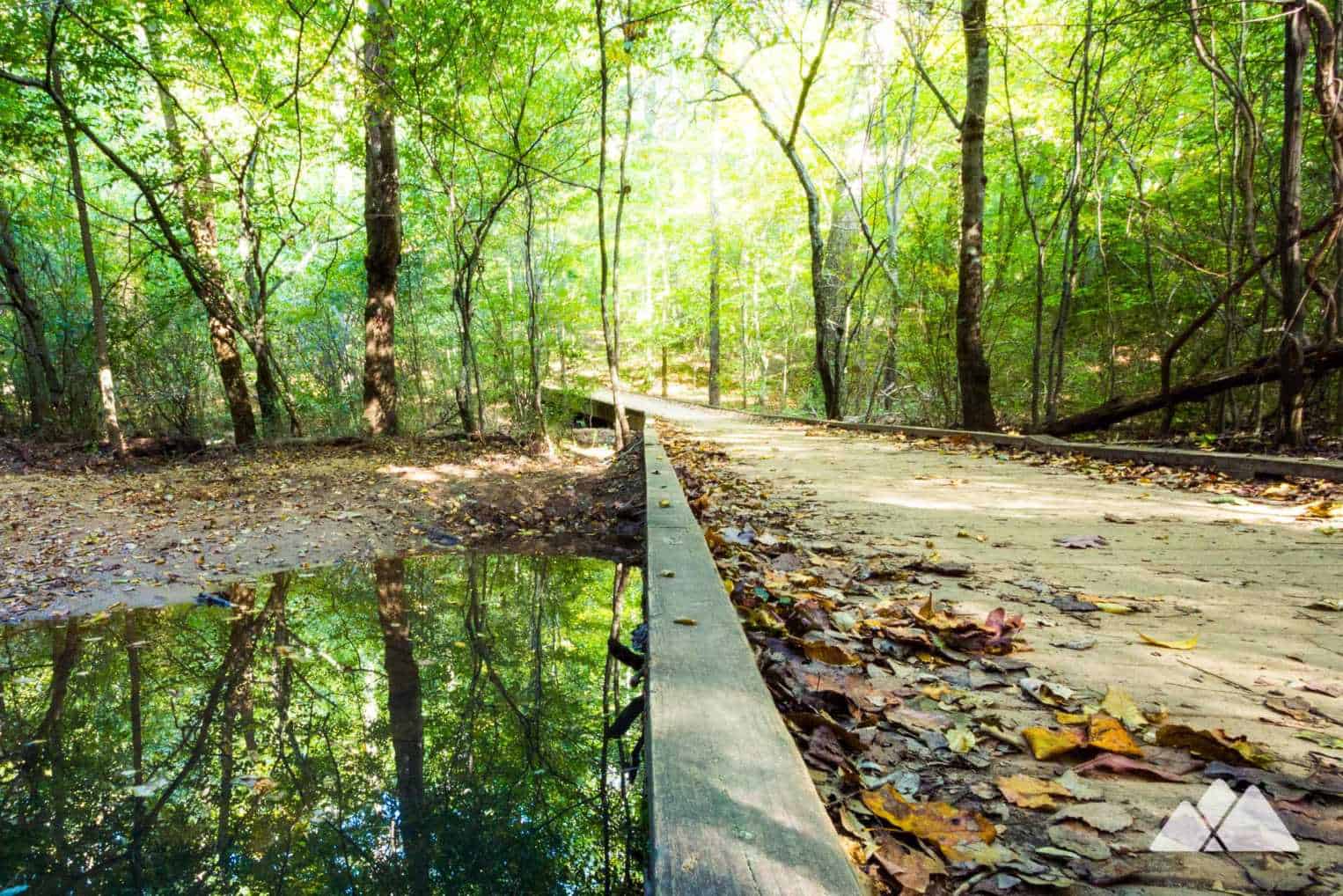 Gold Branch Trail at Bull Sluice Lake