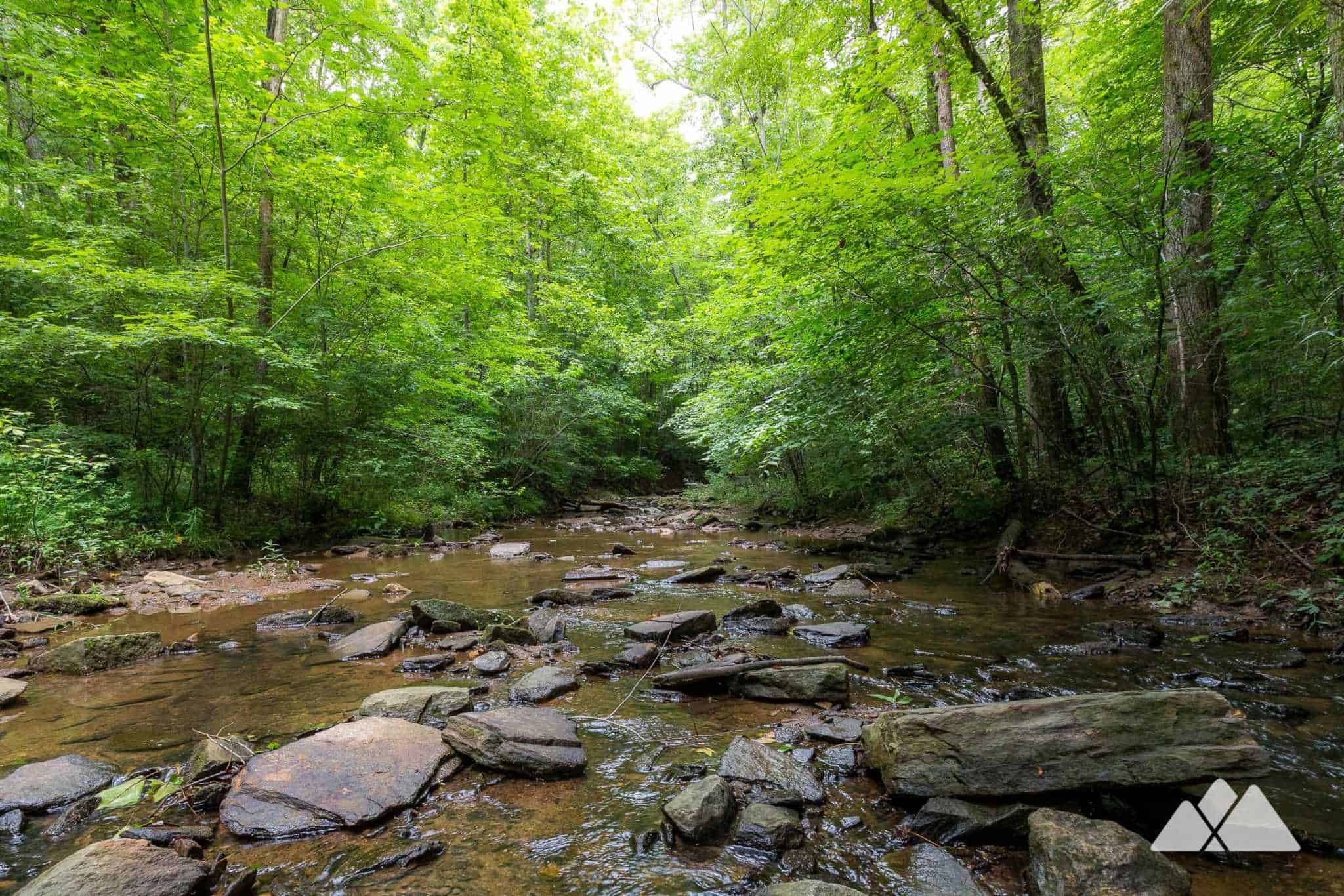 Johnson Ferry Trail at the Chattahoochee River