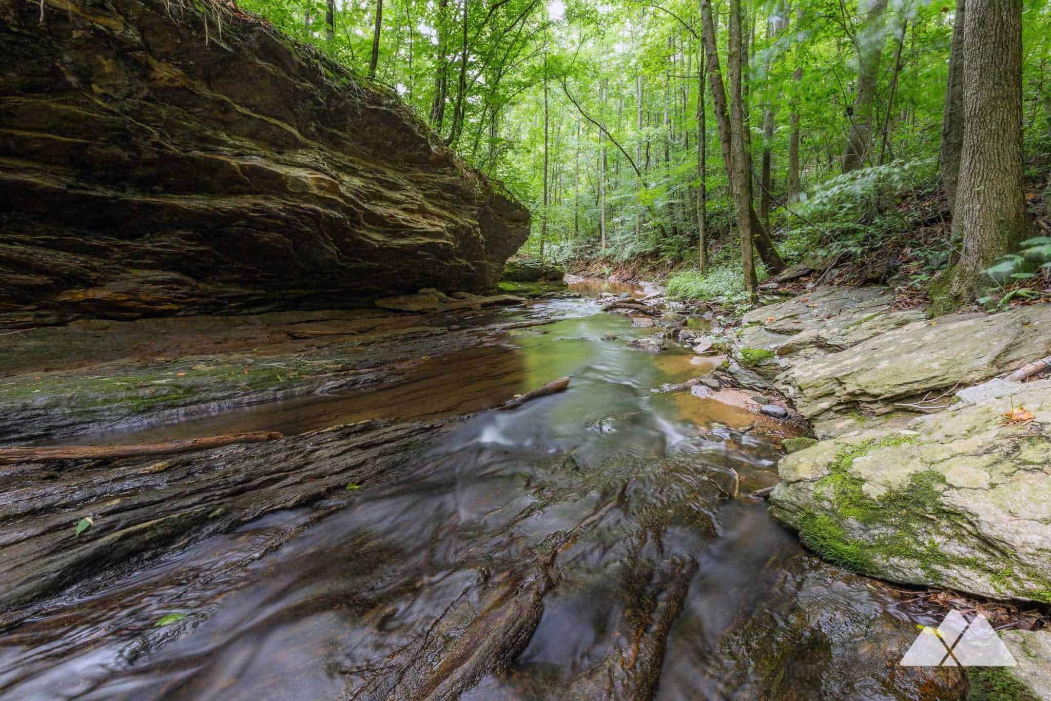 Johnson Ferry Trail at the Chattahoochee River