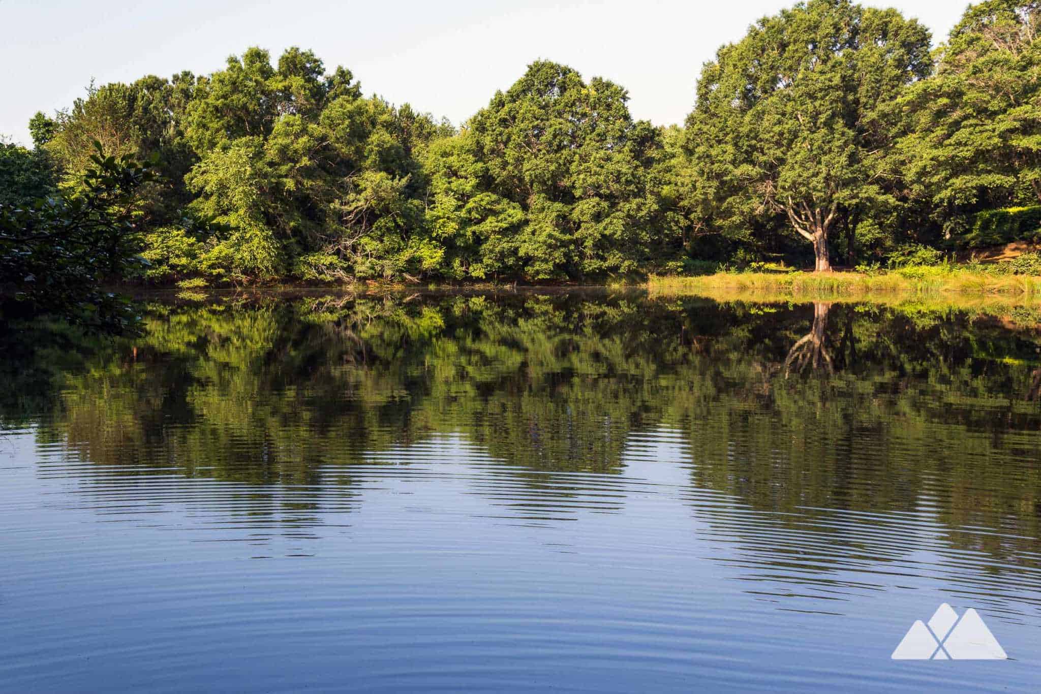 Jones Bridge Park Trail at the Chattahoochee River