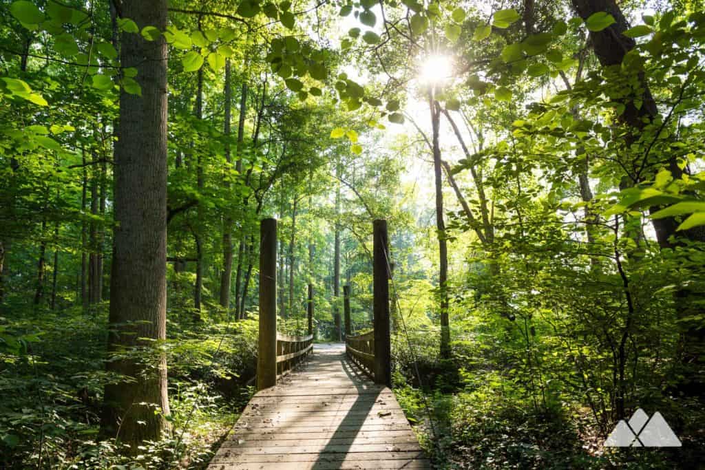 Jones Bridge Park Trail at the Chattahoochee River