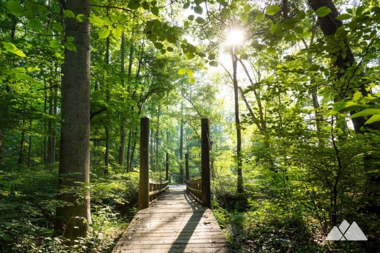 Jones Bridge Park Trail at the Chattahoochee River