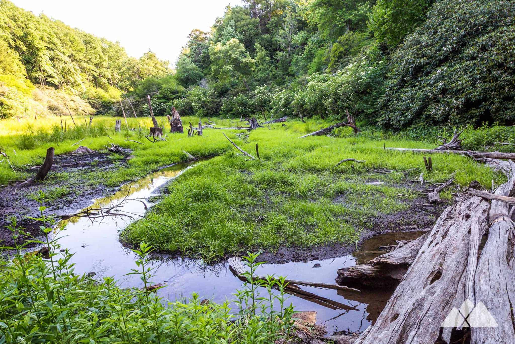 Lake Conasauga: Grassy Mountain Tower Trail - Atlanta Trails