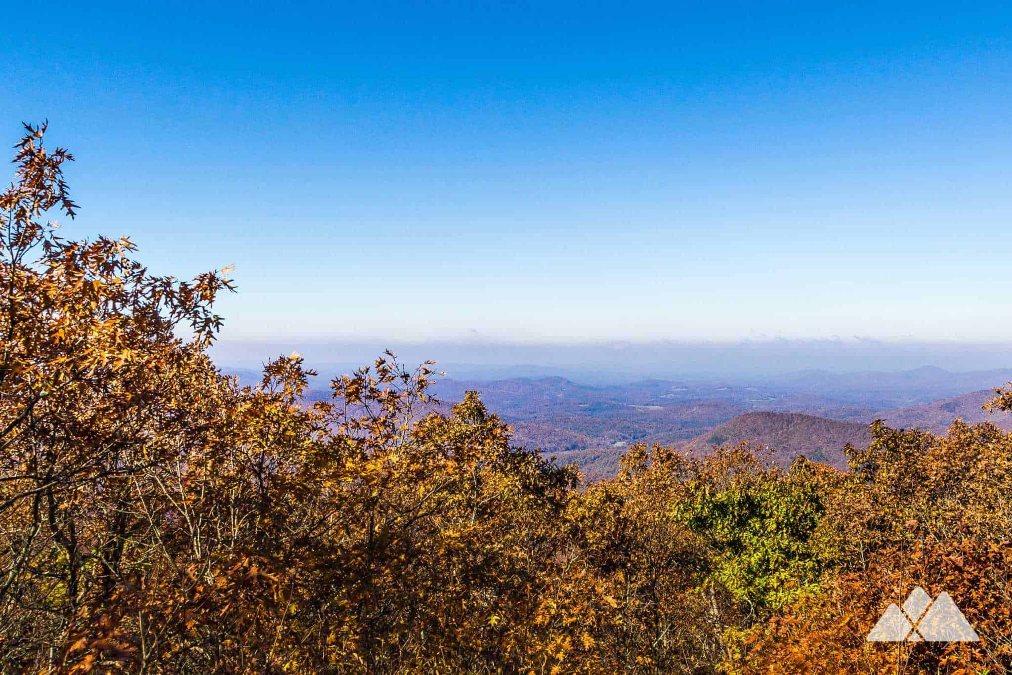 Springer Mountain: Hiking & Backpacking Guide
