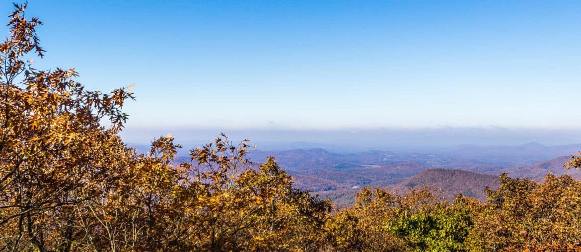 Springer Mountain: Hiking & Backpacking Guide