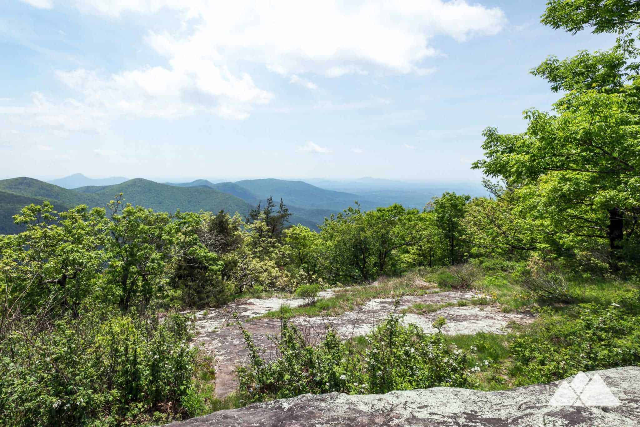Tesnatee Gap to Cowrock Mountain: Appalachian Trail