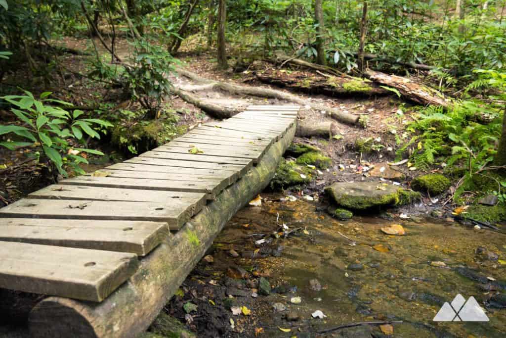 Appalachian Trail: Three Forks to Springer Mountain